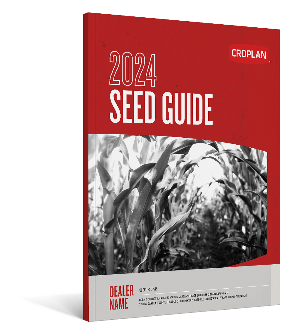 SECURE Finance | - WinField® United